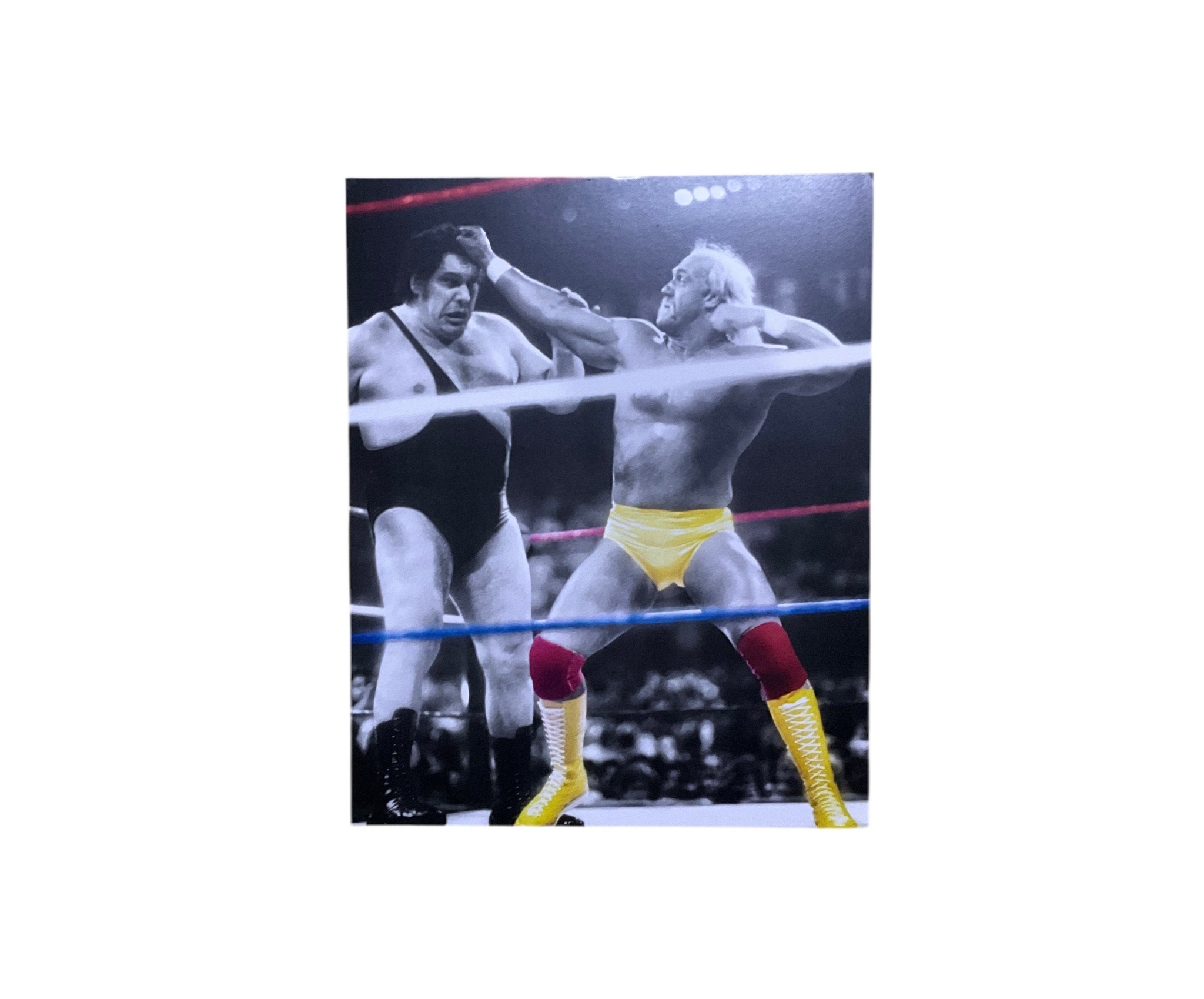 Hulk Hogan Andre Punch Unsigned 8x10 Photo – Hogan's Beach Shop