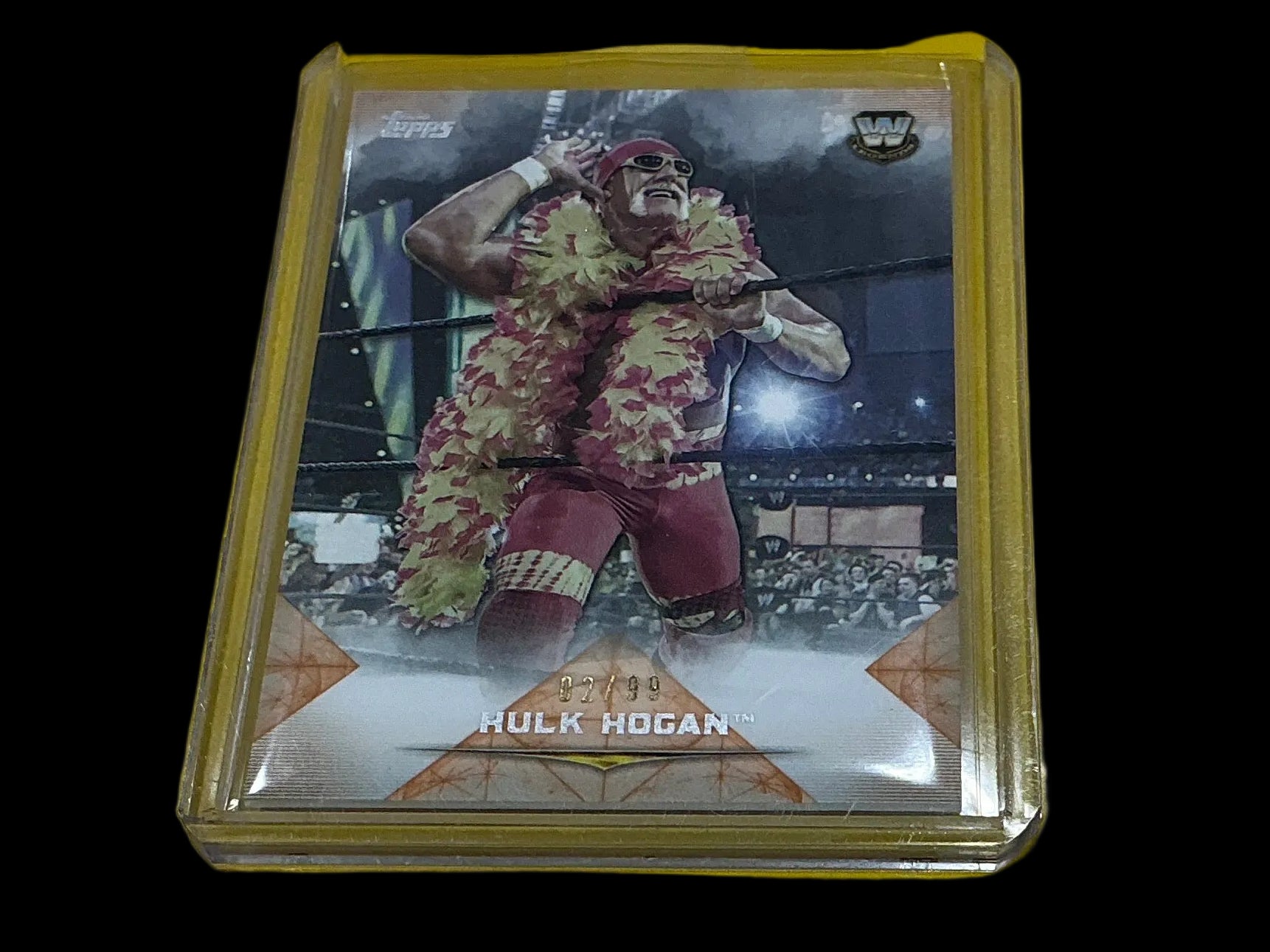 Hulk Hogan Ear Pose 02/99 Trading Card Cased – Hogan's Beach Shop