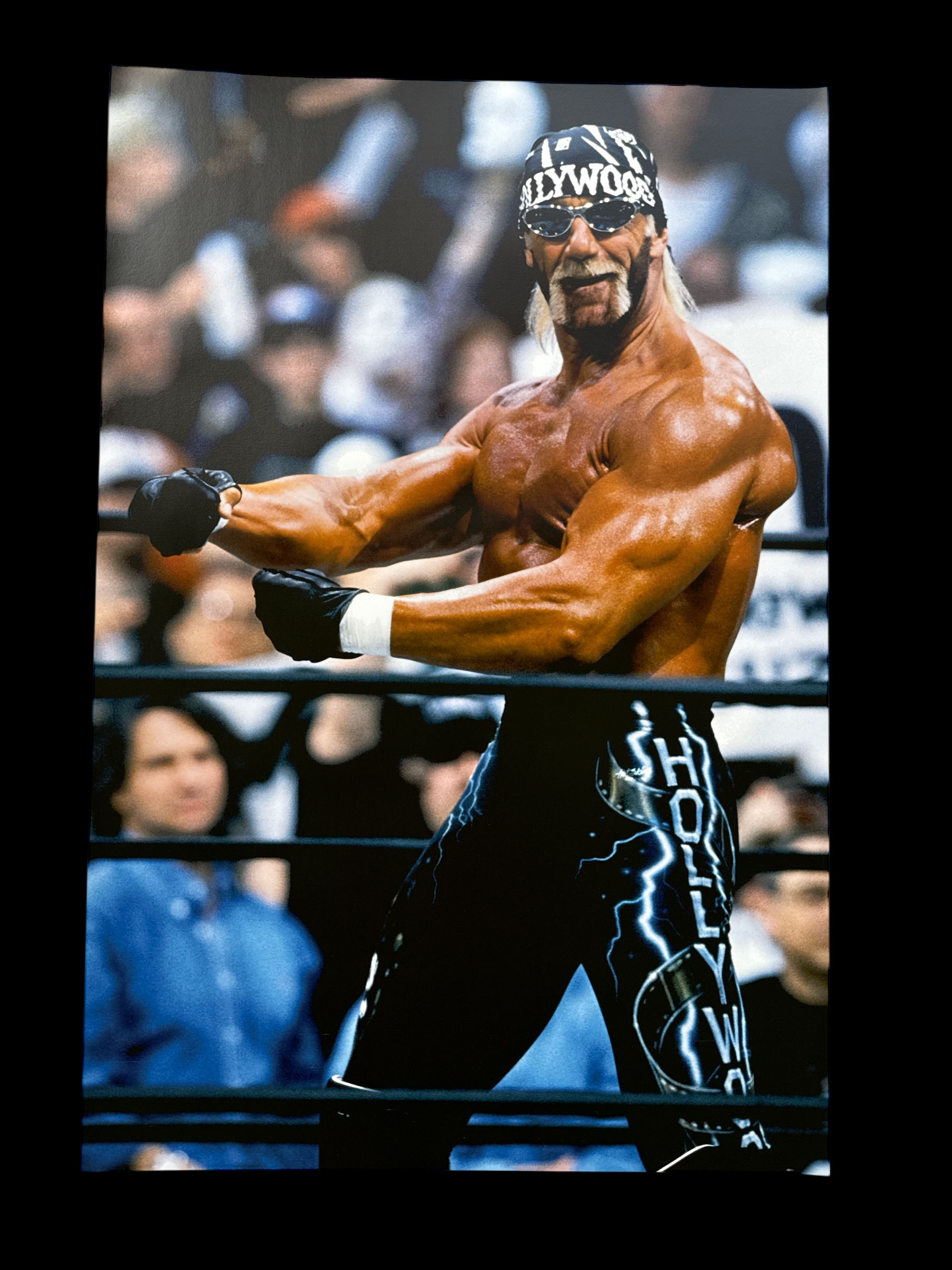 Hollywood Hogan Side Flex Unsigned 24x36 Poster – Hogan's Beach Shop