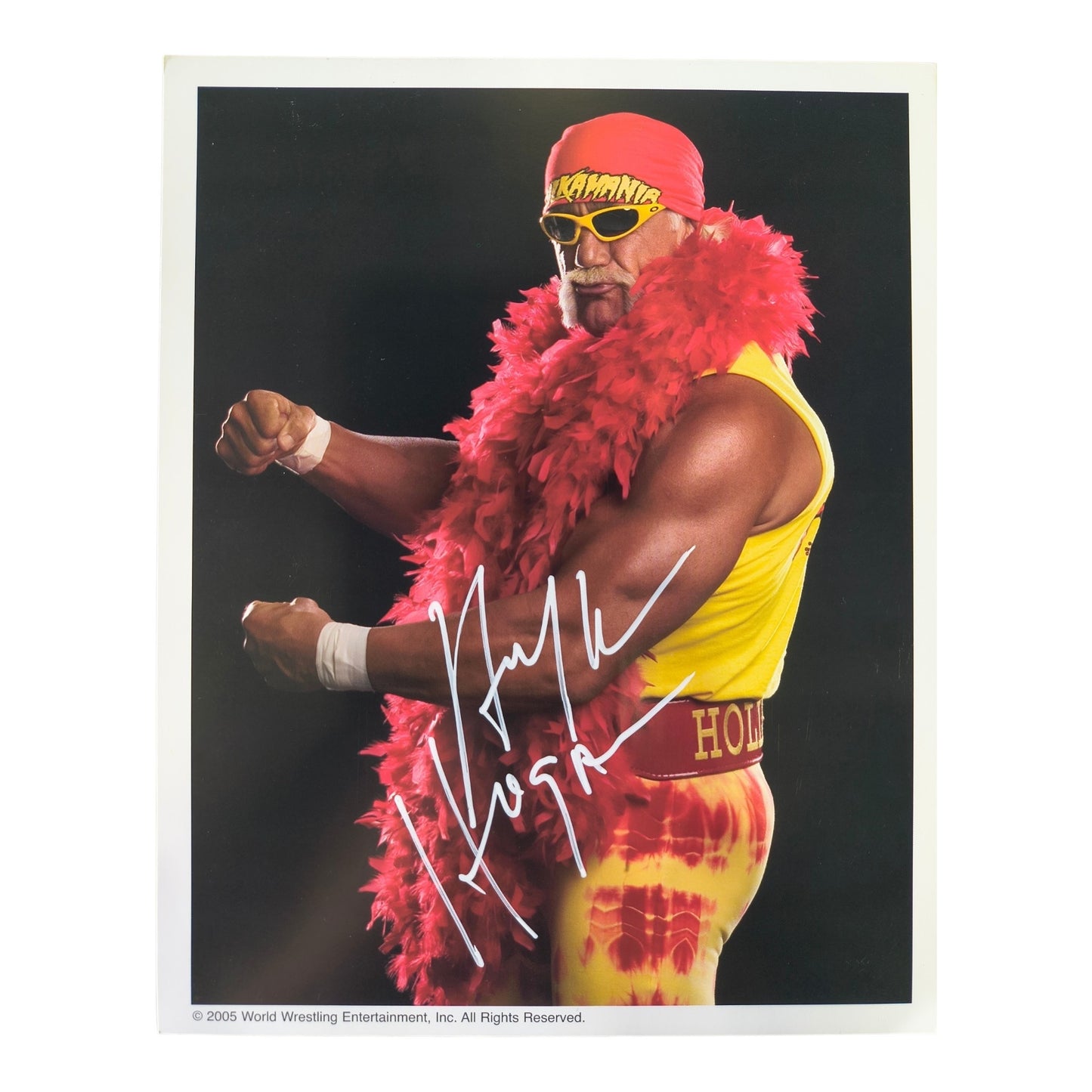 Consignment SR - Hollywood Hogan Side Flex Boa 8x10 Original WWE Promo ...
